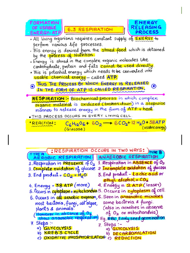 EDUMANTRA SUPER-NOTES (Life Processes - Full Chapter) Es) : For More ...