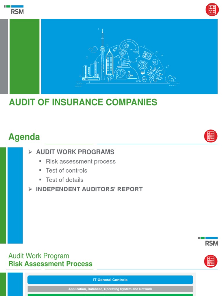 Insurance Companies Audit Overview | PDF | Insurance | Audit