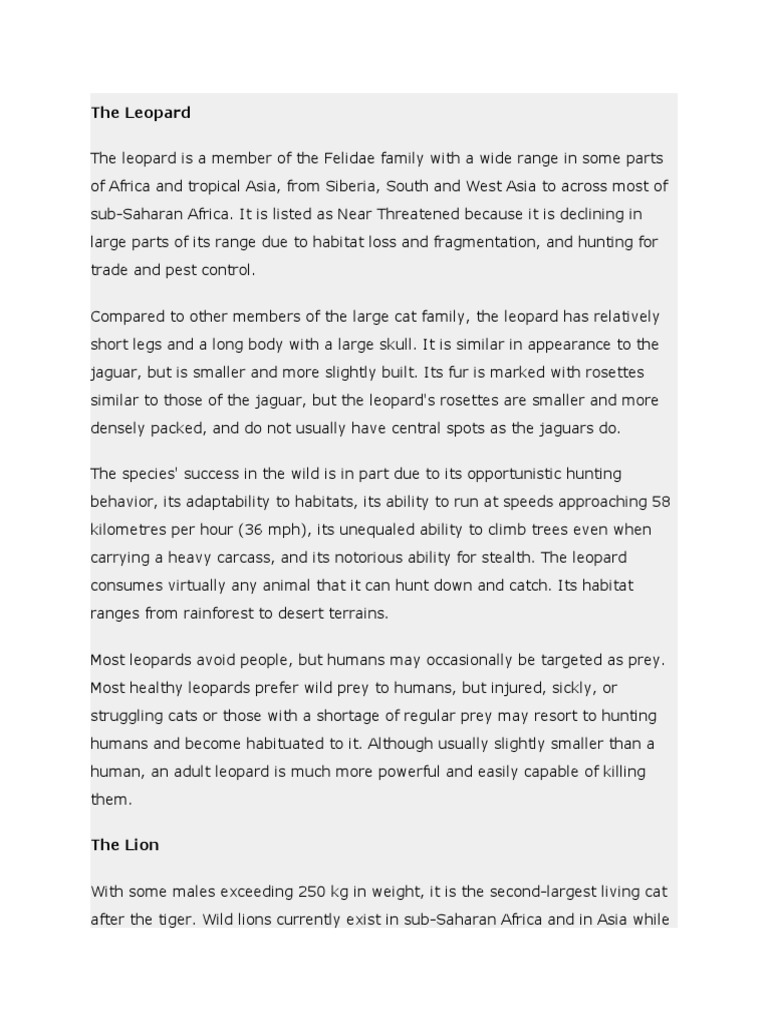 The Leopard | PDF | Lion | Leopard