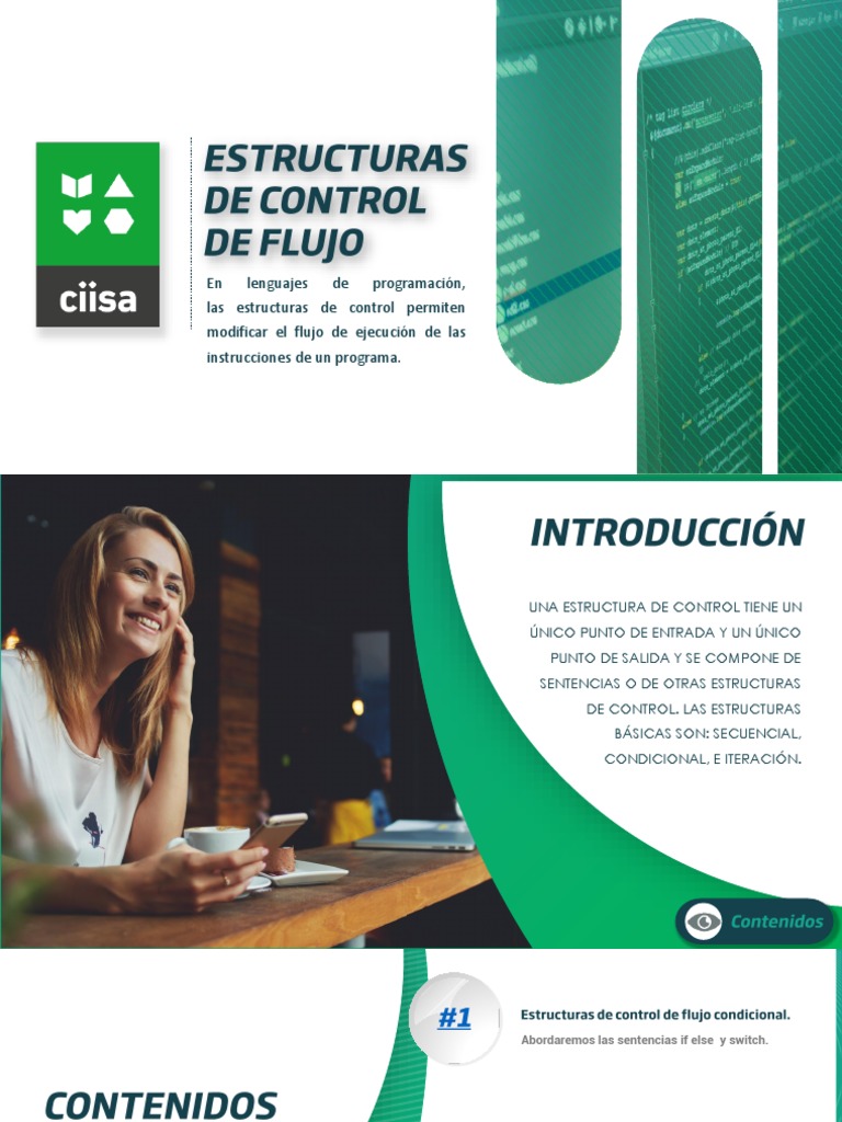 4.estructuras de Control de Flujo | PDF | Estructura de datos de matriz | Flujo de control