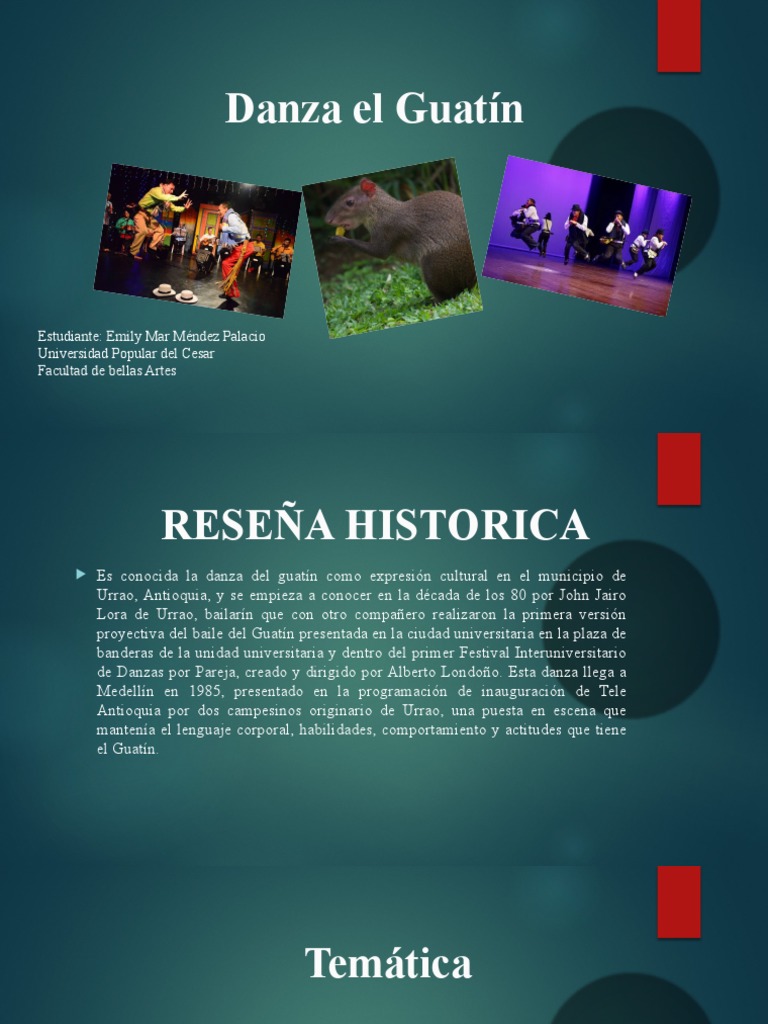 Danza Del Guatin | PDF | Bailes | Las artes escénicas