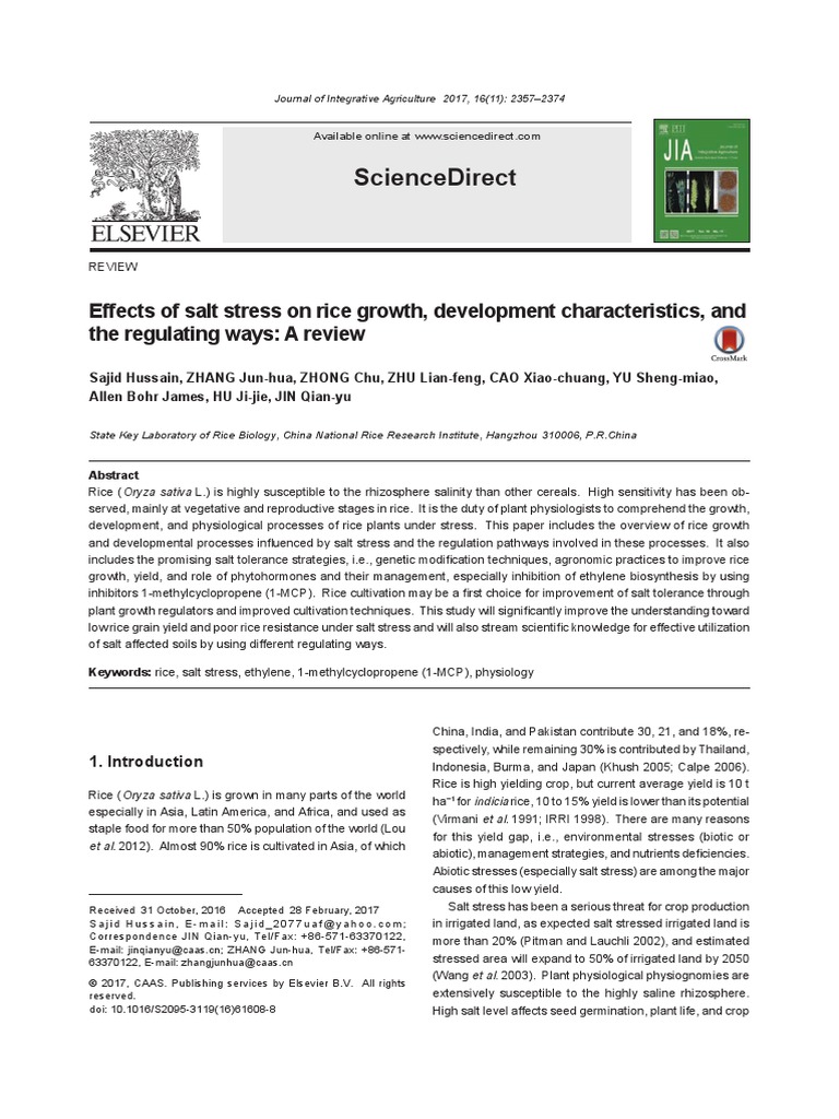 ảnh hưởng của stress mặn đối với lúa | PDF | Plant Hormone | Rice