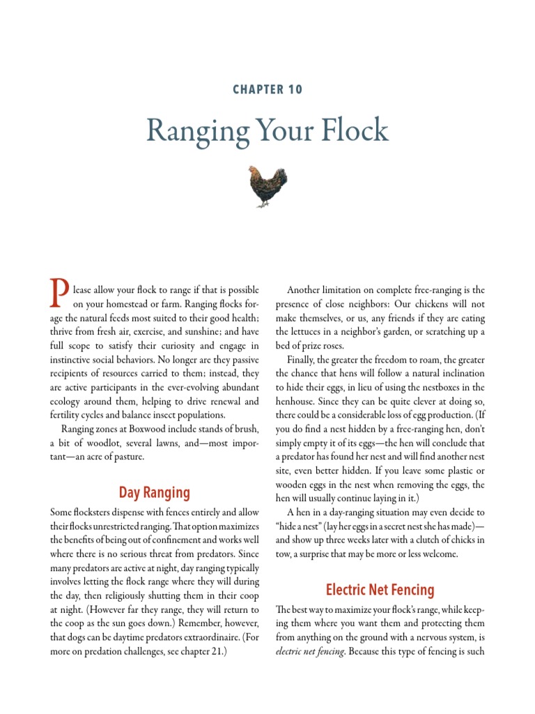 The Small-Scale Poultry Flock, Revised Edition: Ranging Your Flock ...