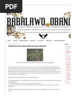 Yoruba Animal Names | PDF | Organisms | Nature