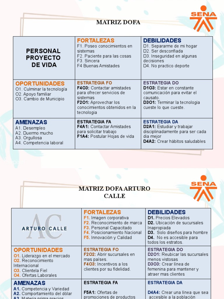 Matriz Dofa | PDF | Economias | Business