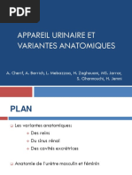 Syndrome de la Jonction Pyelo-Uréterale | PDF | Rein | Spécialités ...