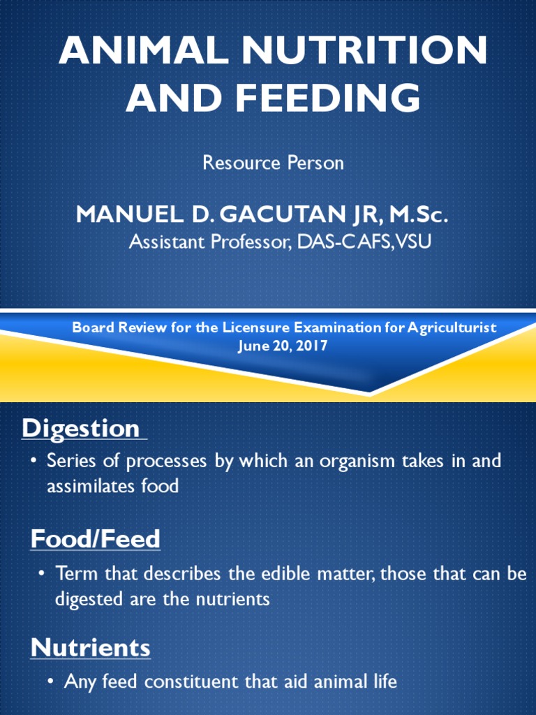 Animal Nutrition and Digestive Processes | PDF | Digestion | Vitamin