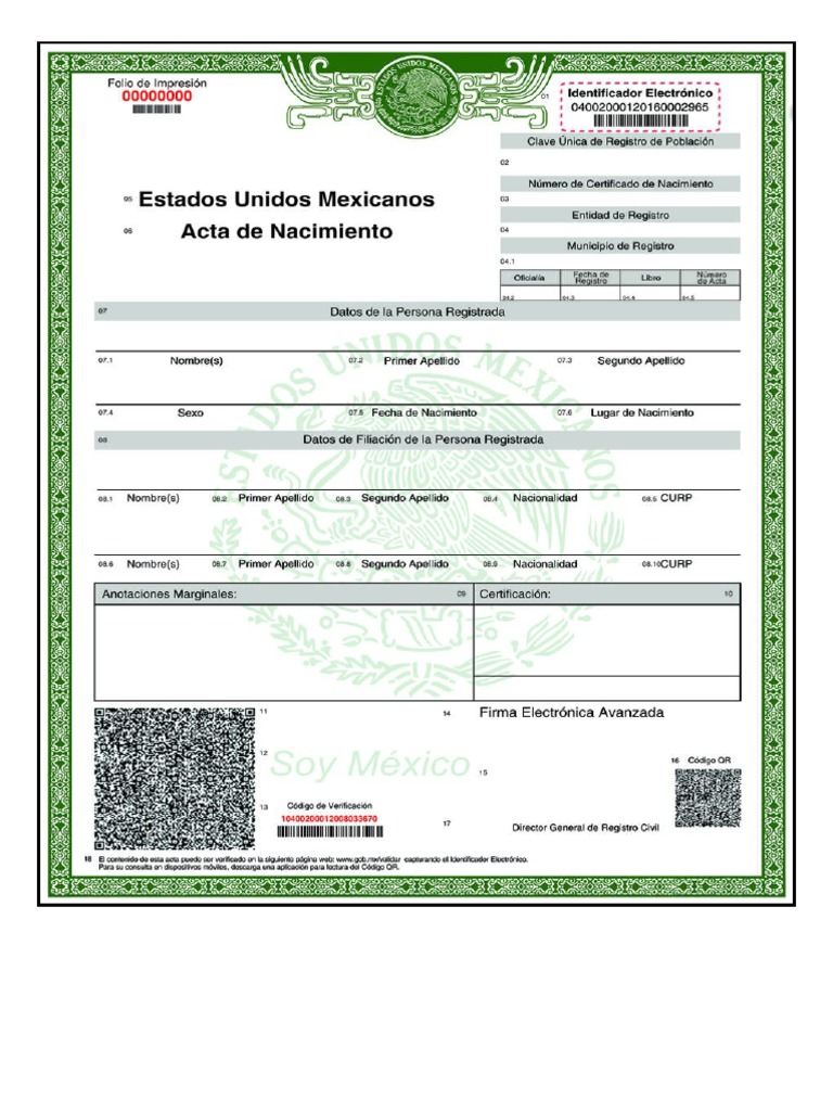 Acta de Nacimiento Ejemplo para Llenar | PDF