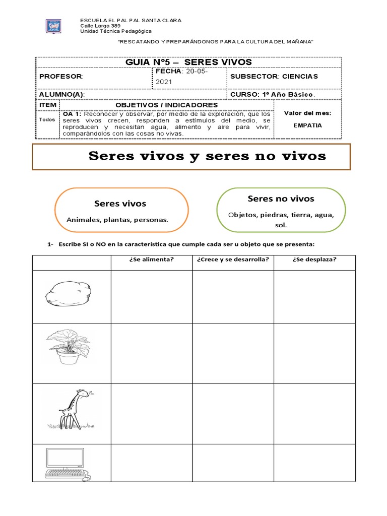 1° AÑO - CIENCIAS - Seres Vivos Parte 2. | PDF | Organismos