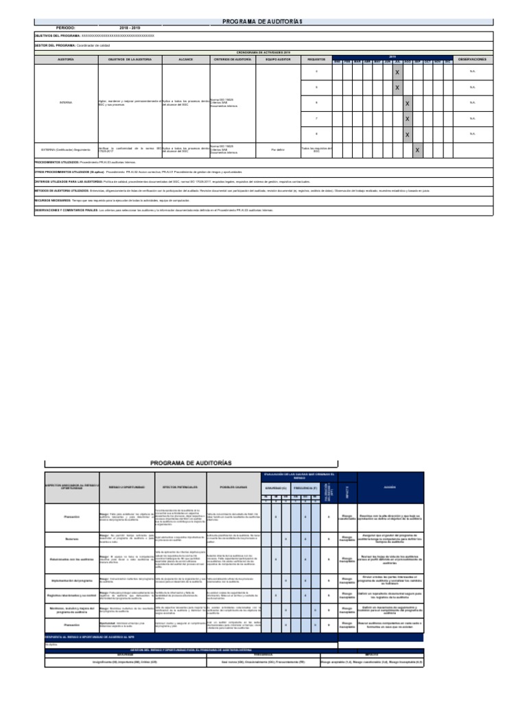 Ejemplo Programa de Auditorias | PDF | Auditoría | Planificación