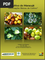 Bula Exalt 191217 | PDF | Embalagem e rotulagem | Inseticida