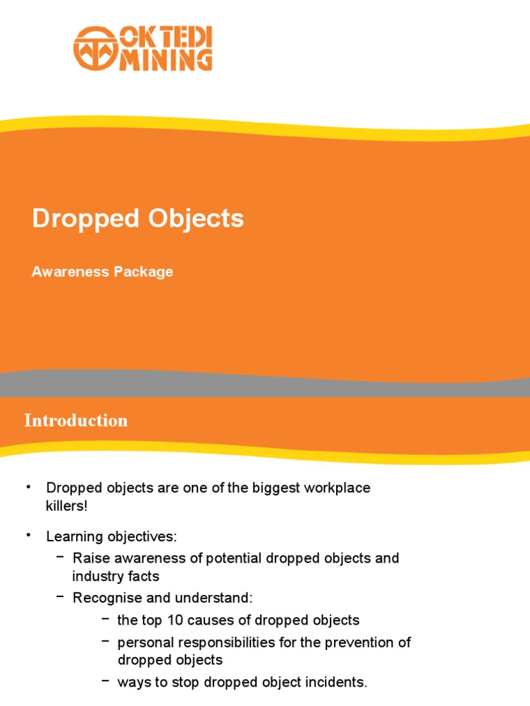 Dropped Objects Presentation | PDF | Personal Protective Equipment | Risk
