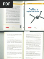 Temas de HySat Medallia | PDF