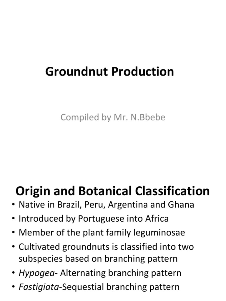 Groundnut Production Pdf Peanuts Soil