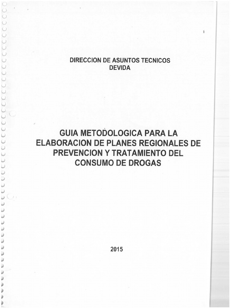 Guía para Elaboración de Planes Regionales | PDF