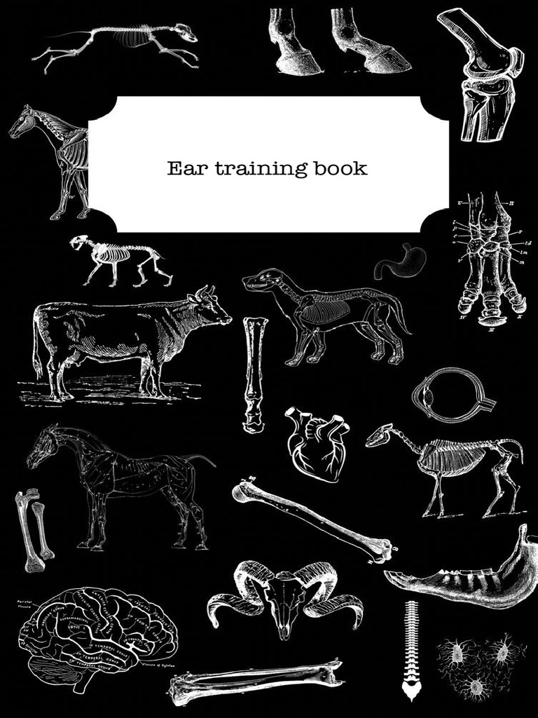 Ear Training Berklee Workbook | PDF