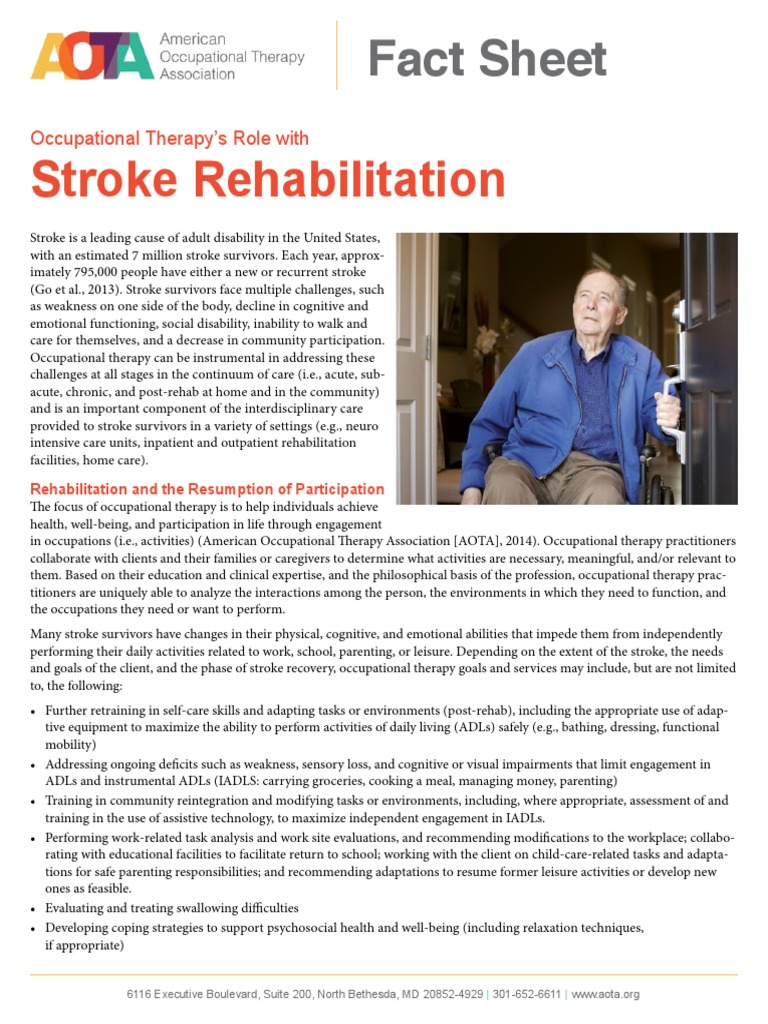 Stroke Rehab Fact Sheet | PDF | Occupational Therapy | Physical Therapy