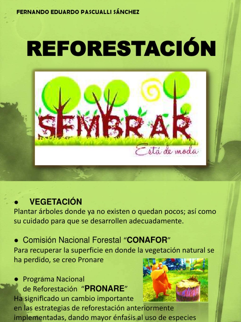 Reforestacion 130629223559 Phpapp01 | PDF | Los bosques | Arboles