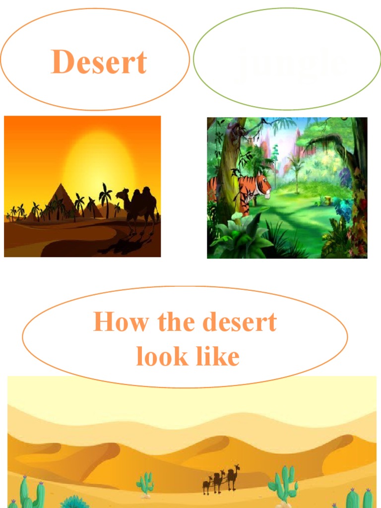 Desert and Jungle | PDF | Science & Mathematics