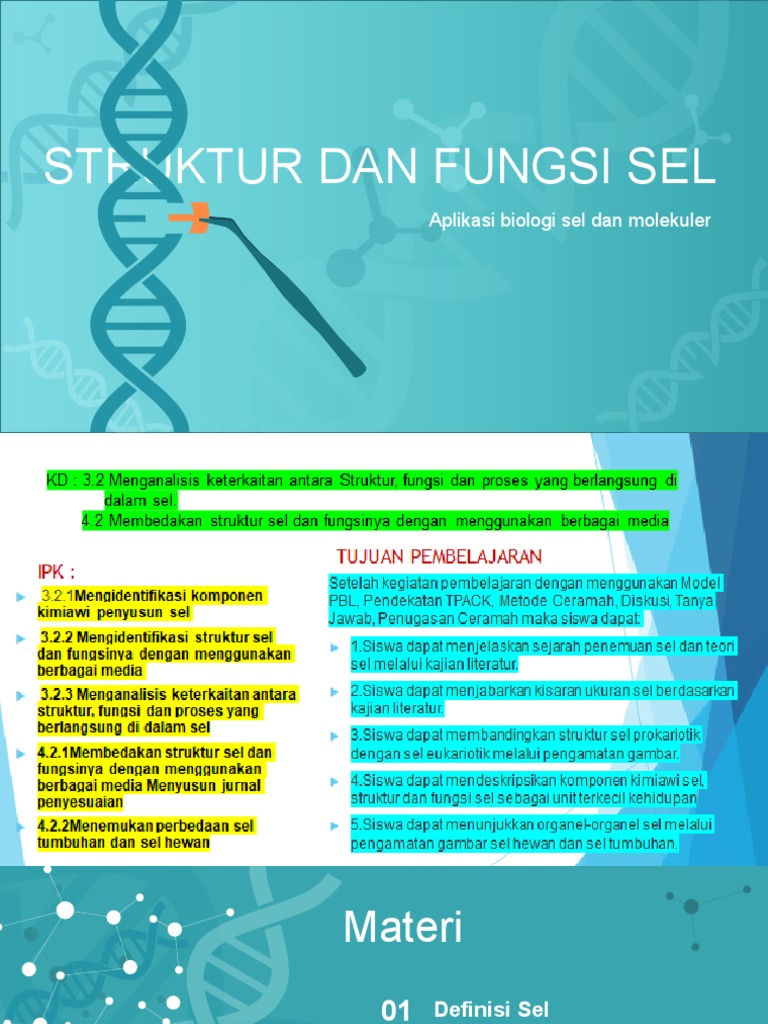 Power Point SEL | PDF