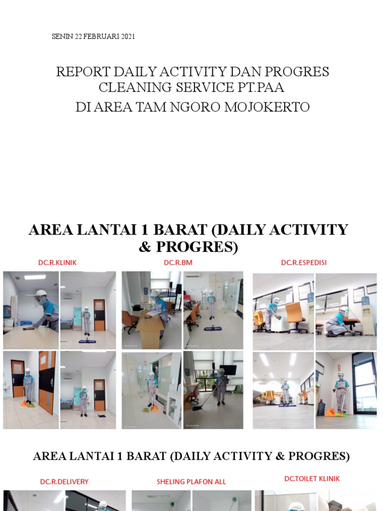 Cleaning Service Progress Report | PDF | Home & Garden