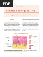 Anatomía y funciones de la piel | PDF | Epidermis | Piel