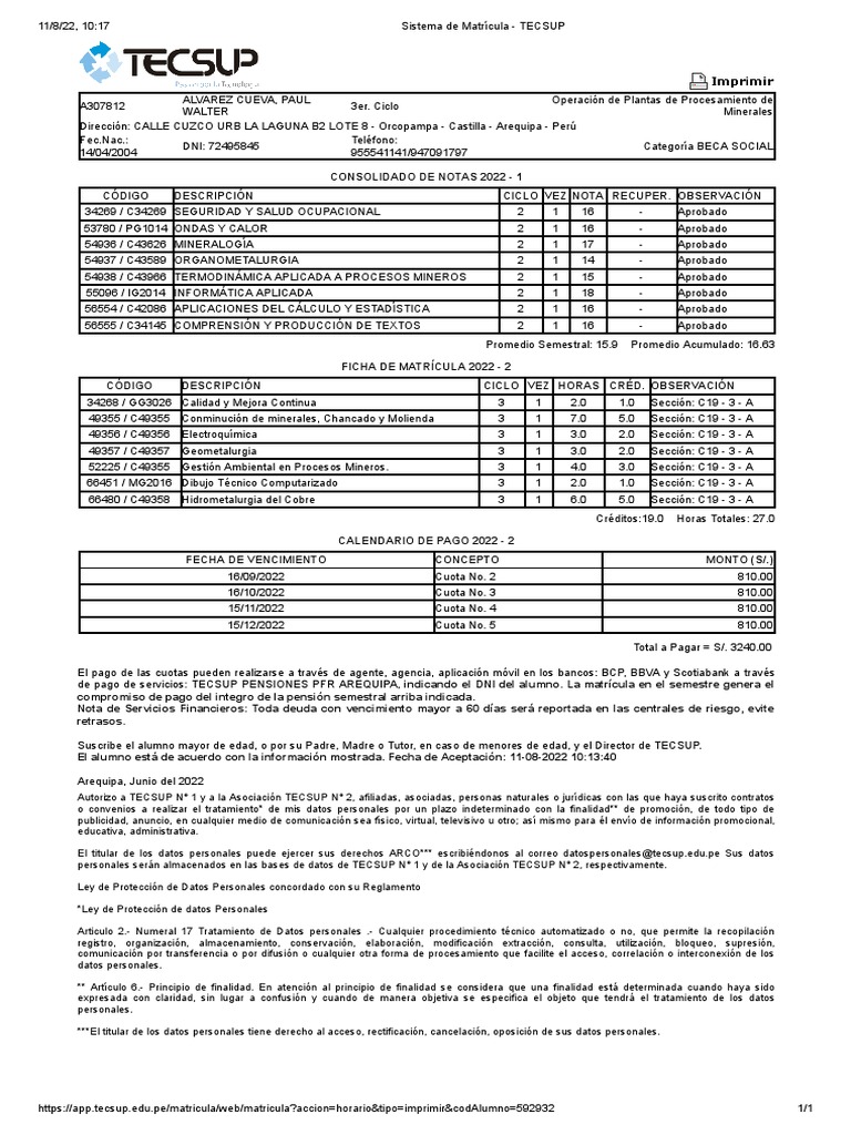 Sistema de Matrícula - TECSUP | PDF | Privacidad de la información