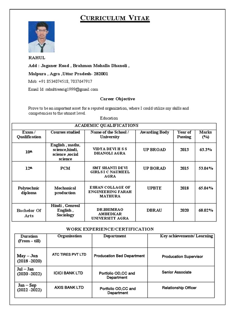 A Career on Track: Rahul's Curriculum Vitae | PDF