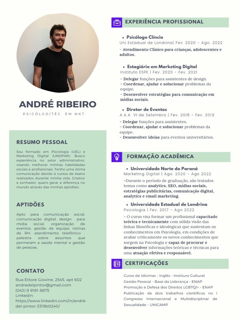 Currículo André Ribeiro | PDF | Psicologia | Marketing