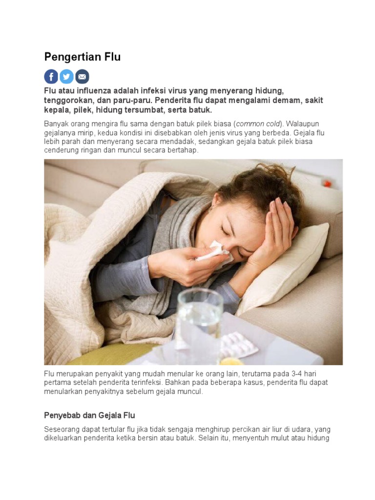 Pengertian Flu | PDF