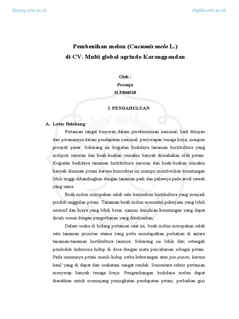 Pembenihan Melon di CV. Multi Global Agrindo | PDF | Teknologi & Rekayasa