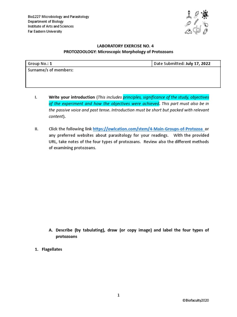 Group 1 - Lab Activity No - 4 - Protozoology | PDF | Protozoa | Biology