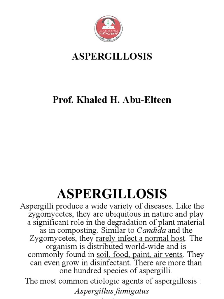 Lecture 10 - Medical Mycoloy - Aspergillosis | PDF | Aspergillus | Immunology