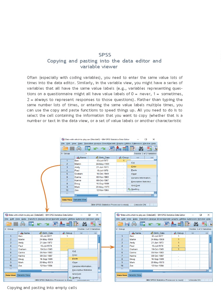 Spss Copying and Pasting Into The Data Editor and Variable Viewer | PDF
