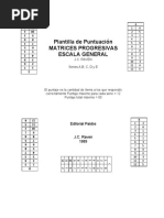 Protocolo de Prueba Raven: Formato y Diagnóstico | PDF