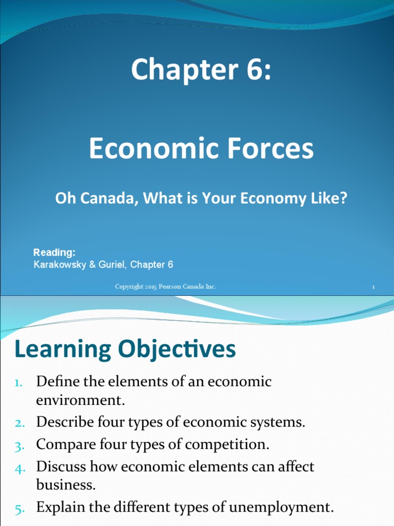 Chapter 6 - Economic Forces | PDF
