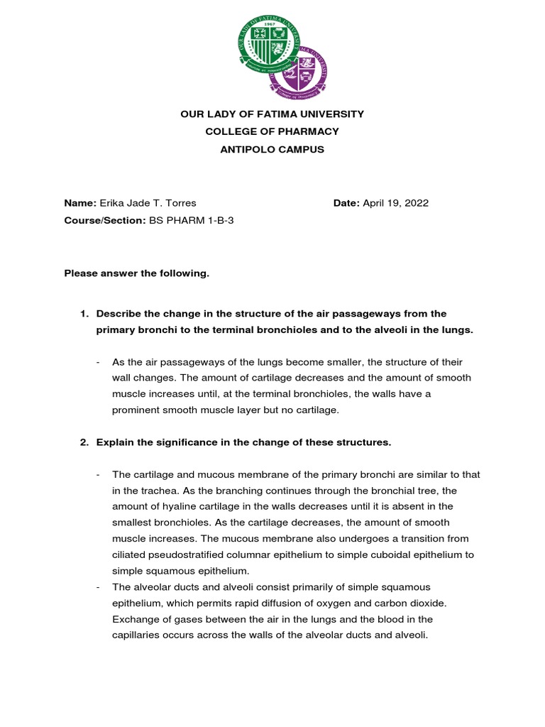 Assignment - Respiratory System | PDF | Lung | Respiratory Tract