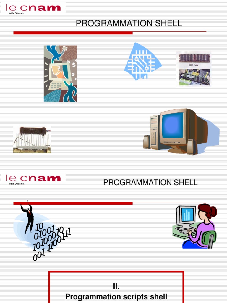 Joëlle Delacroix PROGRAMMATION SHELL | PDF | Structure de contrôle | Programmation informatique