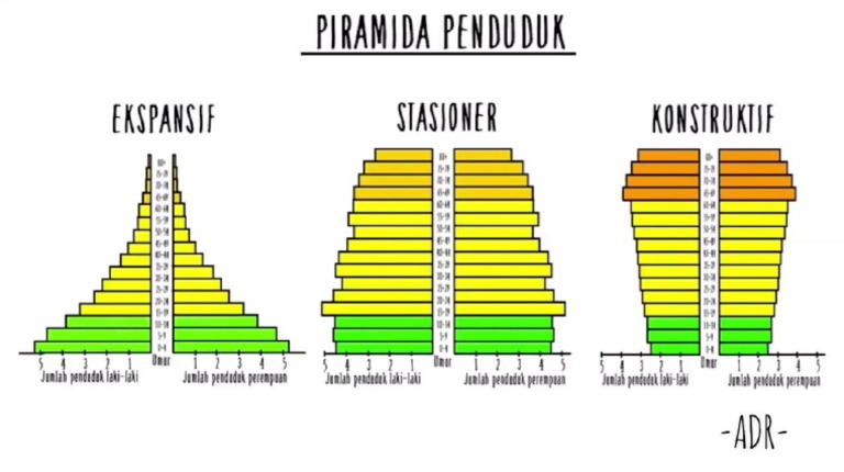 Piramida penduduk | PDF