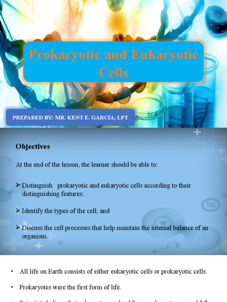 Prokaryotic vs Eukaryotic Cells Explained | PDF | Cell (Biology) | Cell ...