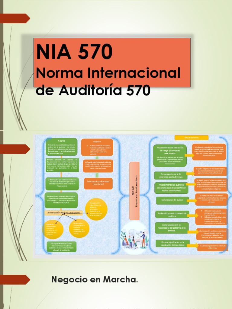 Nia 570 | PDF | Auditoría | Contralor