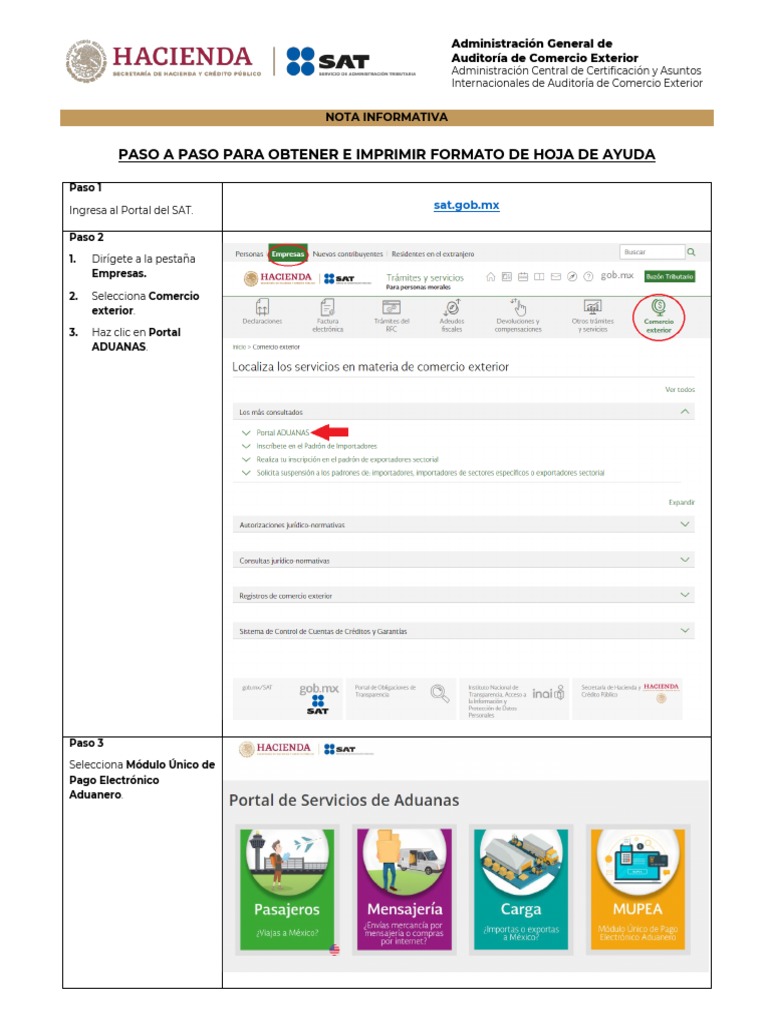 Paso A Paso para La Generacion de La Hoja de Ayuda | PDF | El comercio internacional | aduana