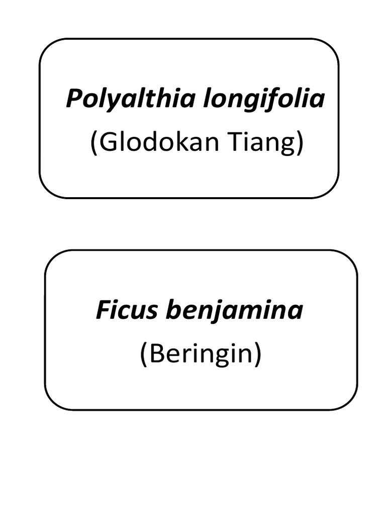 Nama Latin Tumbuhan | PDF | Foreign Language Studies | Science ...