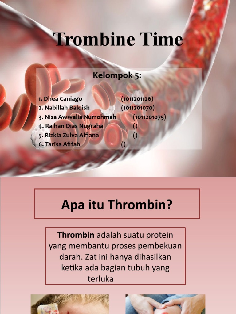 Thrombin Time KLP 5 AB | PDF