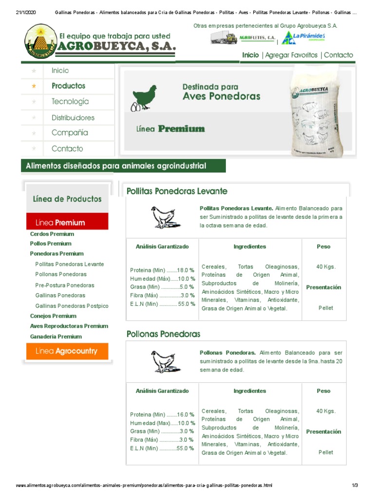 Alimento De Inicio A Las Gallinas Ponedoras – JQMCLV