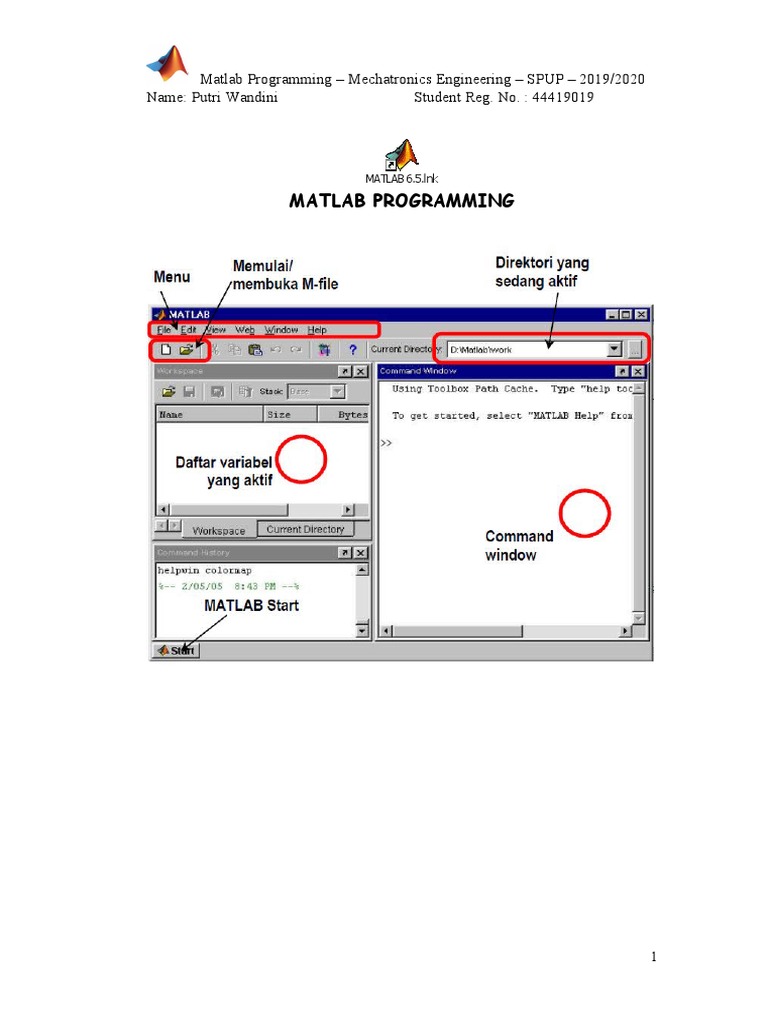 Task01 - Matlab - 2020 - Putri Wandini | PDF | Matlab | Algebra