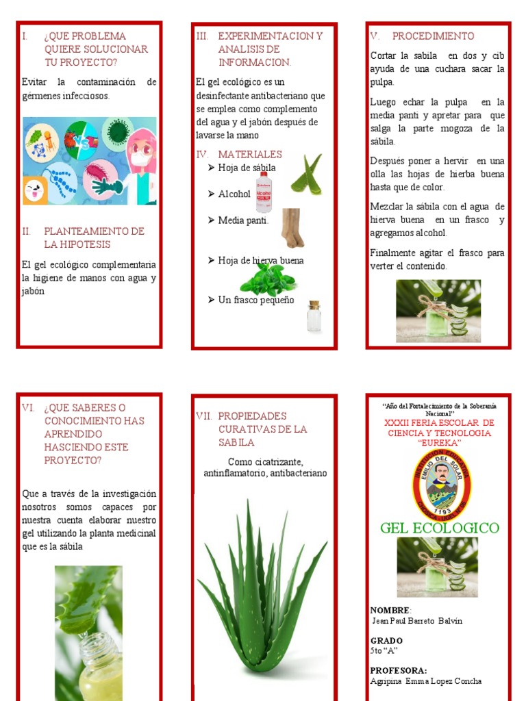 Triptico Gel Ecologico | PDF | Salud pública | Higiene