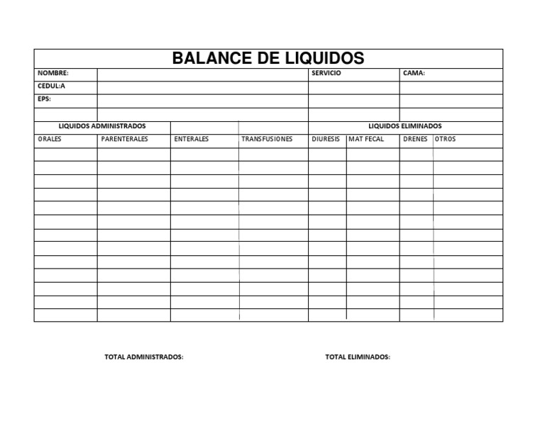 Balance de Liquidos | PDF