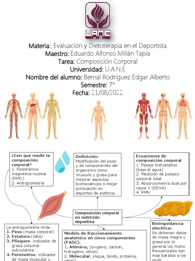 Composición corporal | PDF