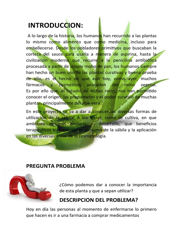 Aloe Vera | PDF